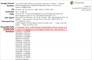 How to Recover Chrome History and Deleted Files